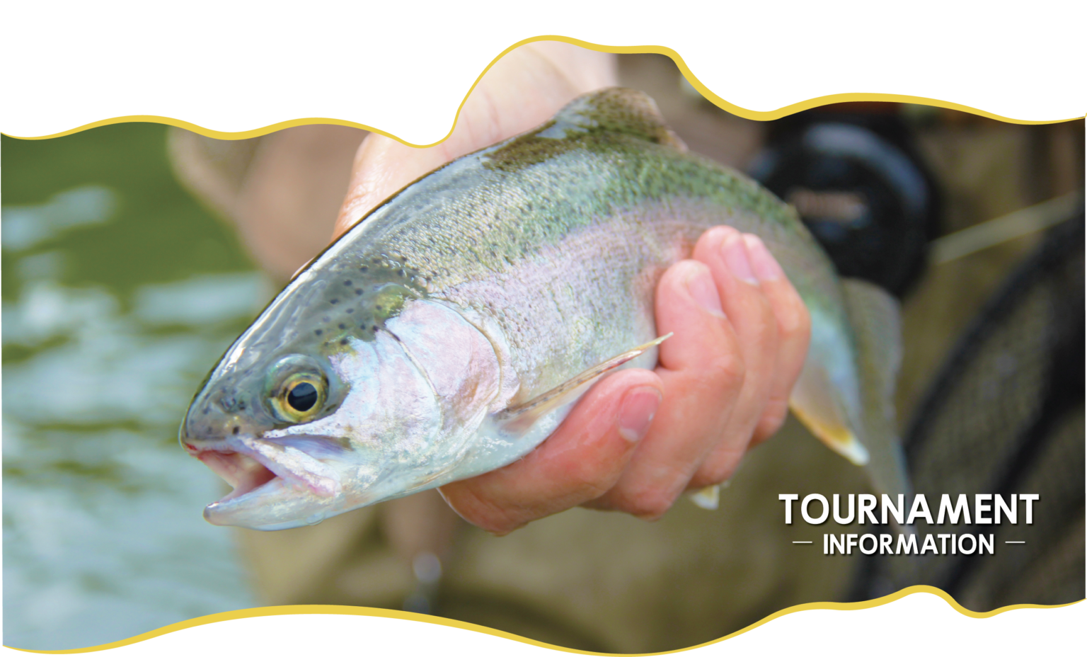 Tournament Info – Trout Fishing Tournament | Iowa Driftless Classic